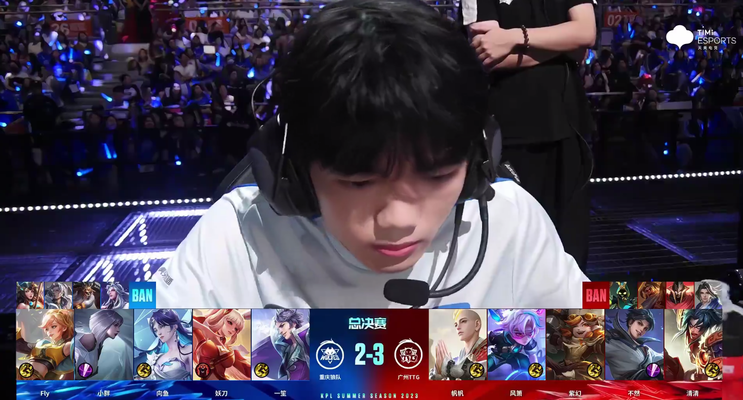 盖弟BP压老林都是小事，小胖问题最大！TTG八年夺1冠：不该放帆帆-王者荣耀官方网站-腾讯游戏