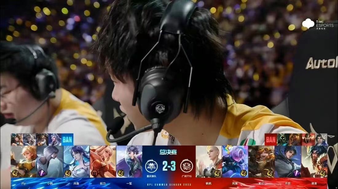 狼队2-4不敌TTG，错失第9冠！向鱼尽力带飞，妖刀小胖下滑太明显-王者荣耀官方网站-腾讯游戏